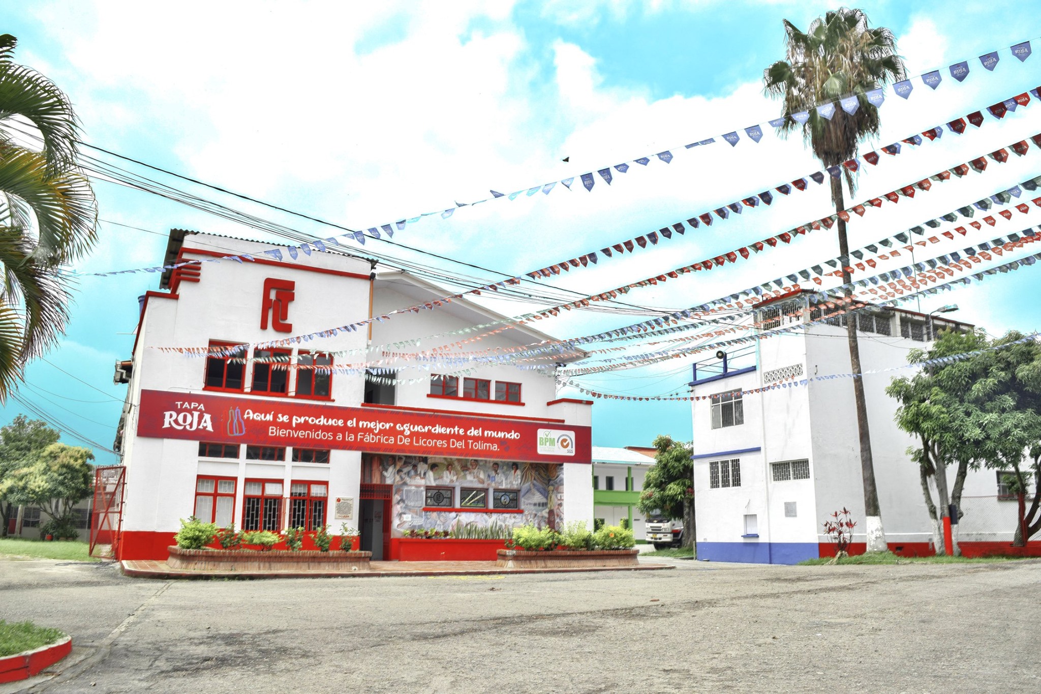 La Fábrica De Licores Del Tolima Se Reinventó Durante La Pandemia Ojo